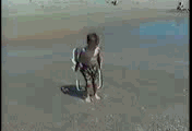 GIF fail beach wave - animated GIF on GIFER - by Hugi