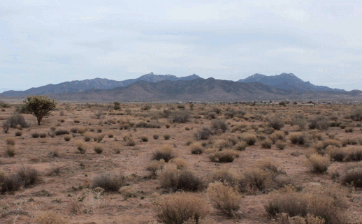 Desierto desert nature GIF on GIFER - by Forcemane