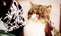 New girl GIF on GIFER - by Thoron