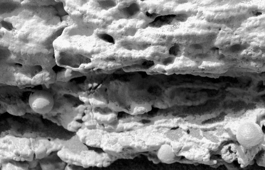 GIF life on mars - animated GIF on GIFER - by Goltihn