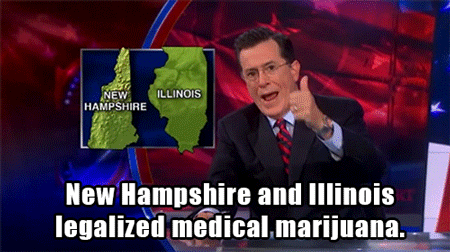 Television stephen colbert the colbert report GIF on GIFER - by Mugamand