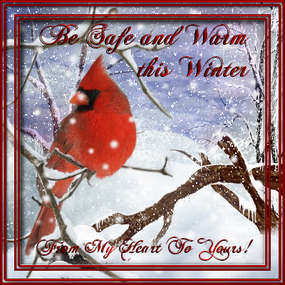 Winter GIF on GIFER - by Cerenis