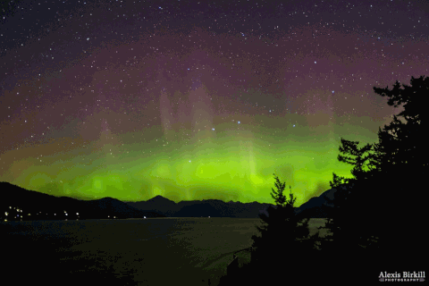 GIF northern lights - animated GIF on GIFER - by Balladorim