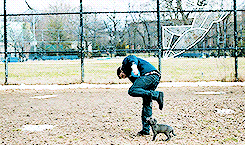 Film tom hardy the drop GIF on GIFER - by Malabor