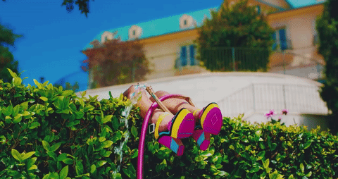 GIF water plants outdoors - animated GIF on GIFER - by Nara