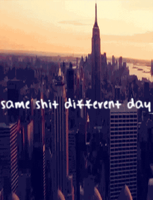 New york GIF on GIFER - by Narad