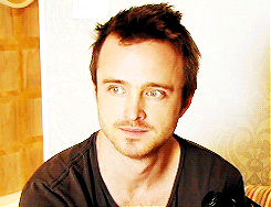 Aaron paul GIF on GIFER - by Flamemaster