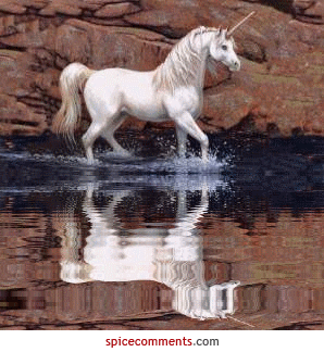 Reflection GIF on GIFER - by Fordrelanim