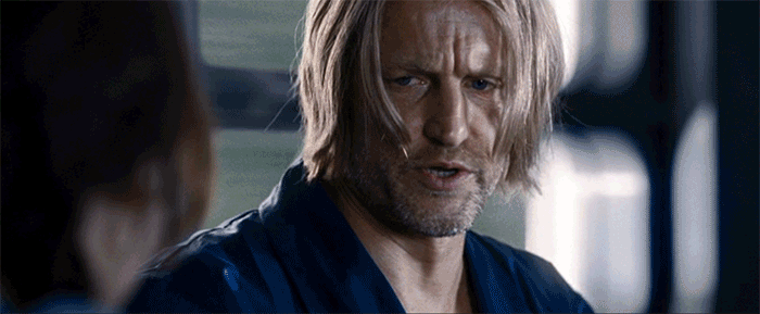 Hunger games GIF on GIFER - by Rainpick