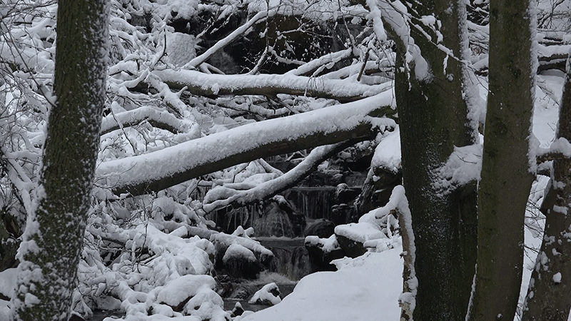 Cinemagraph winter belgium GIF on GIFER - by Gogore