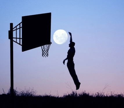 Sports basketball GIF on GIFER - by Celhala