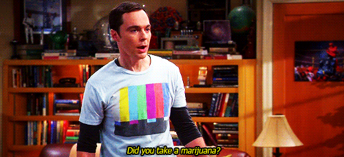 Sheldon cooper GIF on GIFER - by Taugrel