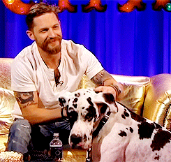 Tom hardy my edit GIF on GIFER - by Fenribei