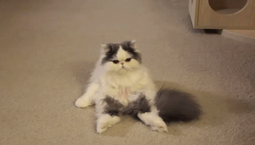 GIF daddy dave milestones wifeytini - animated GIF on GIFER - by Hellfont