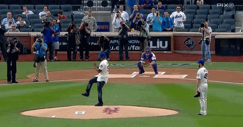 Sports fail mlb GIF on GIFER - by Kirigda