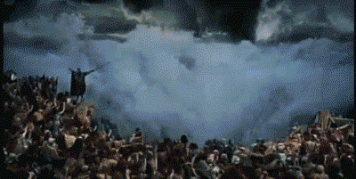 GIF human nature - animated GIF on GIFER - by Folsa