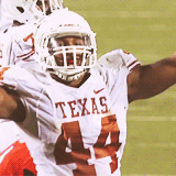 GIF ut longhorns texas longhorns dont mess with texas - animated GIF on ...