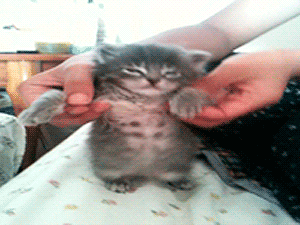 Life dream GIF on GIFER - by Dounris