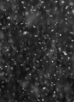 Falling GIF on GIFER - by Malotus