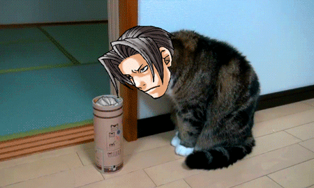 Dual destinies GIF on GIFER - by Molanim