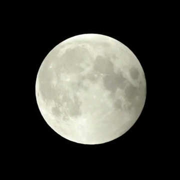 Nick groff GIF on GIFER - by Lightwing