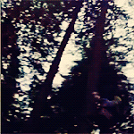 Hi Flirt Gif