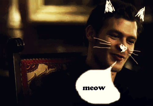 Joseph morgan GIF on GIFER - by Mavezan