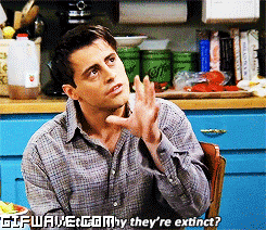 Joey tribbiani GIF on GIFER - by Vizshura