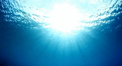 Island beauty sun GIF on GIFER - by Meztigor