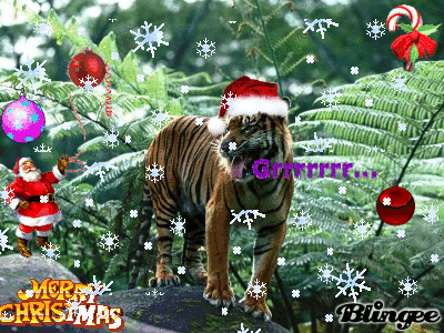 GIF christmas animals - animated GIF on GIFER - by Ishnnn