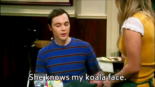 Sheldon cooper GIF on GIFER - by Felorin