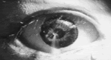 Strange scarry weird GIF on GIFER - by Tasar