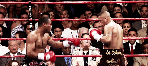 Hd boxing GIF on GIFER - by Bojurus