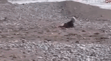 Spike lee GIF on GIFER - by Duran