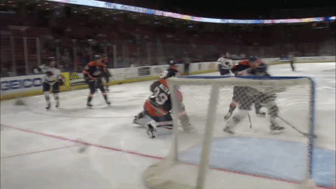 Hockey save teamwork GIF on GIFER - by Dorisar