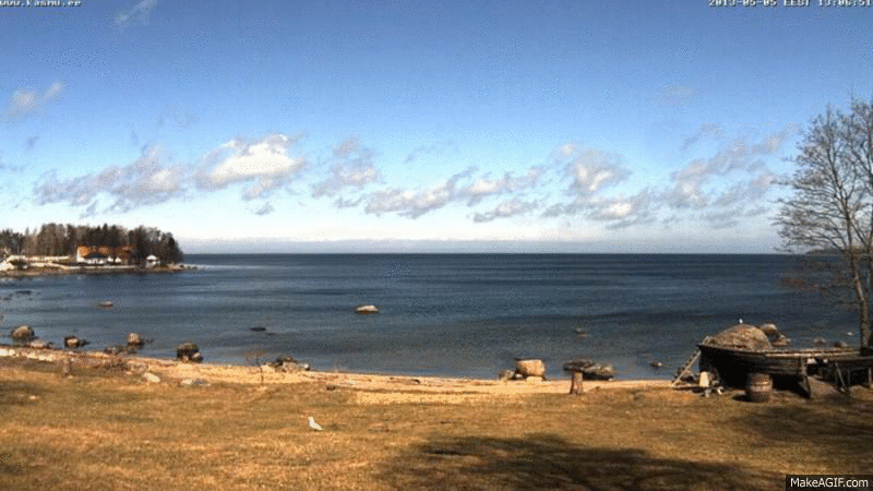 GIF rock the boat - animated GIF on GIFER - by Anarana