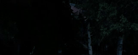 Crouching tiger hidden dragon GIF on GIFER - by Yokree