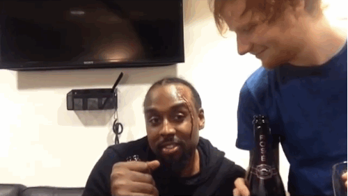 Set animal beach GIF on GIFER - by Thothis