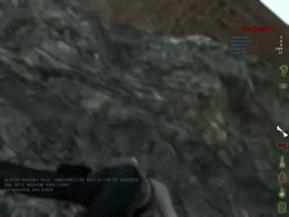 Dayz arma GIF on GIFER - by Gavitus