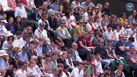 Mexican wave fun tennis GIF on GIFER - by Coinn
