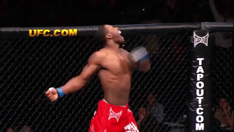 GIF mma ufc ufc 210 - animated GIF on GIFER - by Nifym