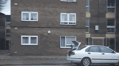 Pizza delivery national pizza day GIF on GIFER - by Moogutaxe