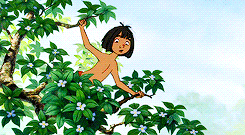 The jungle book jungle book mowgli GIF on GIFER - by Anarajurus