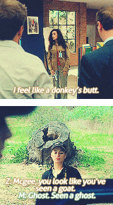Ncis ziva david anthony dinozzo GIF on GIFER - by Kigar