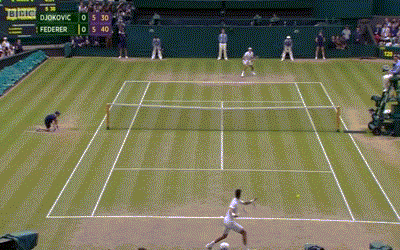 Novak djokovic trending GIF on GIFER - by Whitesmasher