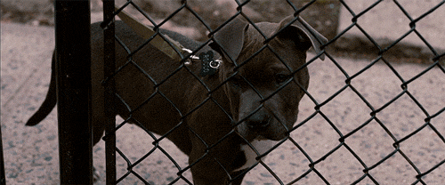 The drop the drop movie GIF on GIFER - by Mora