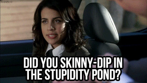 Reaction natalie morales the middleman GIF on GIFER - by Mikazahn