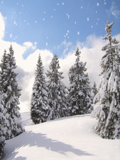 El Gif Brillante De Nieve Más De 100 Stickers Y GIF Animados De