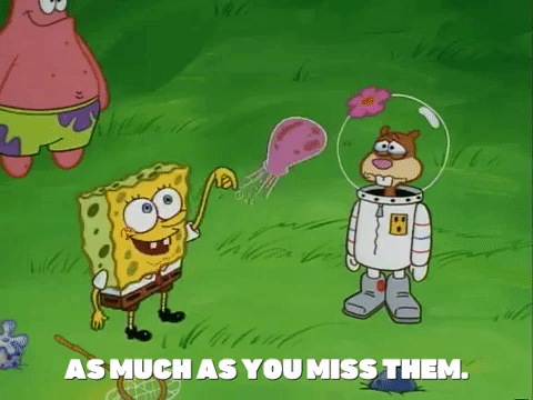 GIF episode 18 season 1 spongebob squarepants - animated GIF on GIFER ...