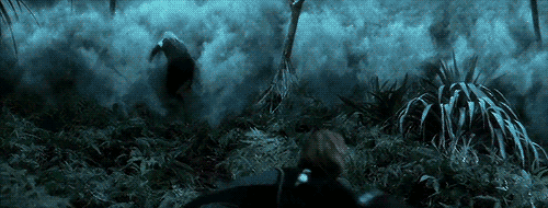 The hunger games GIF on GIFER - by Kalis